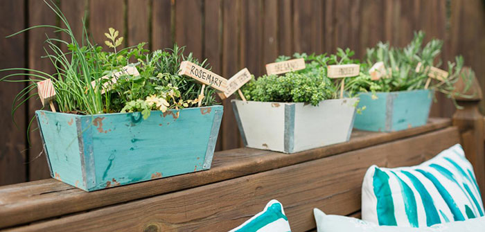 How To Start An Herb Garden - Hydrobuilder Learning Center