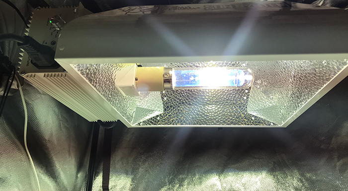 The Best CMH Grow Lights Of 2025 - Hydrobuilder Learning Center
