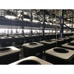 Hydroponics 101 - The Complete Guide To Hydroponic Growing ...