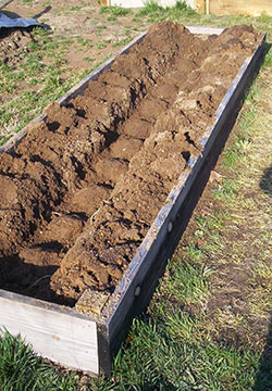 Raised Garden Beds: Everything You Need To Know - Hydrobuilder Learning ...