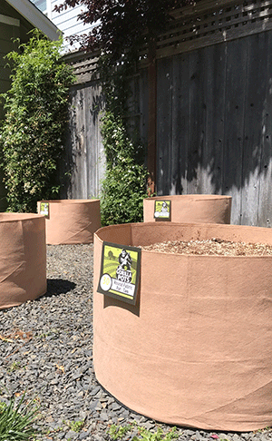 Raised Garden Beds: Everything You Need To Know - Hydrobuilder Learning ...