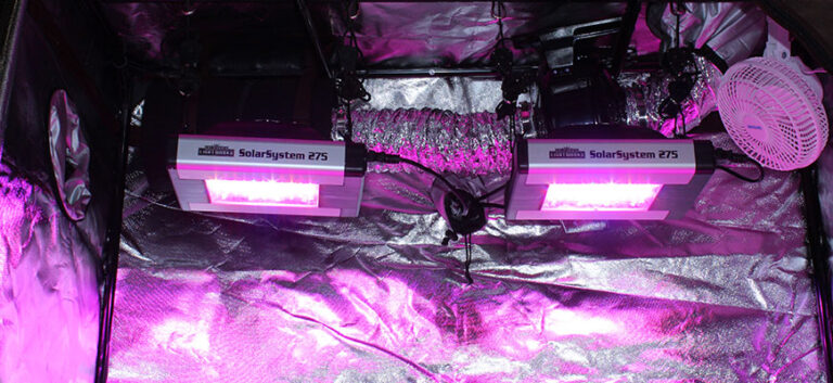 Grow Tent Setup Guide - Hydrobuilder Learning Center