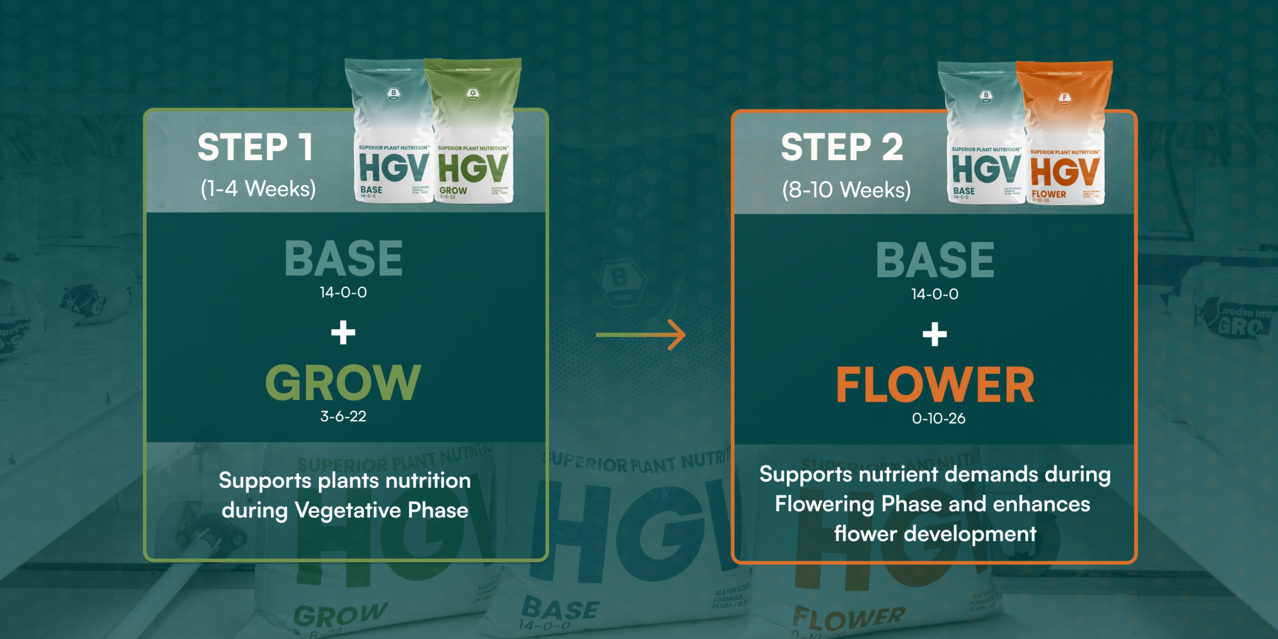 HGV Nutrients: Proven Feeding System for Bigger, Better Buds ...