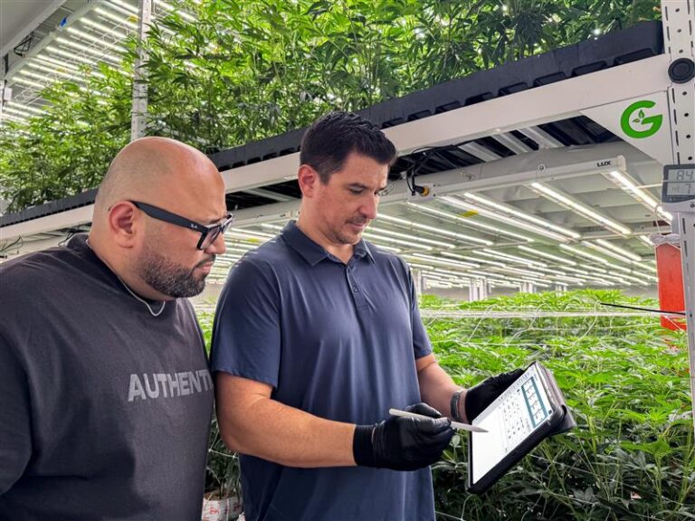 Grow Diagnostics and Plant Health Testing for Cannabis - Hydrobuilder ...