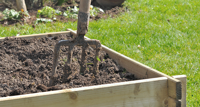 Growing Produce In The Backyard: The Complete Guide - Hydrobuilder ...