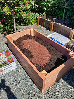 Raised Garden Beds: Everything You Need To Know - Hydrobuilder Learning ...