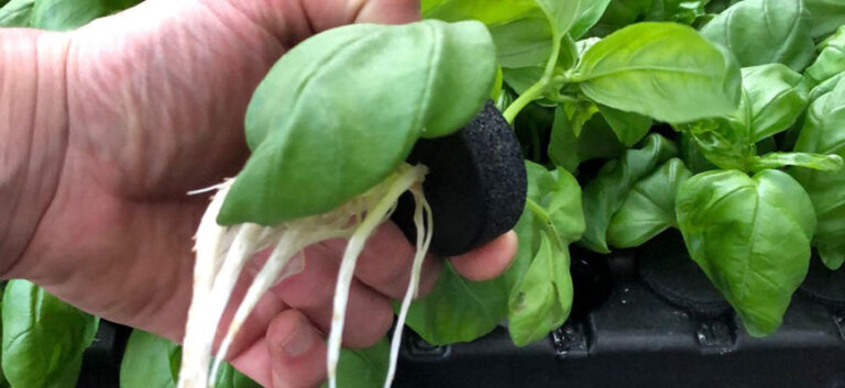 Building A DIY Cloning Machine - Hydrobuilder Learning Center