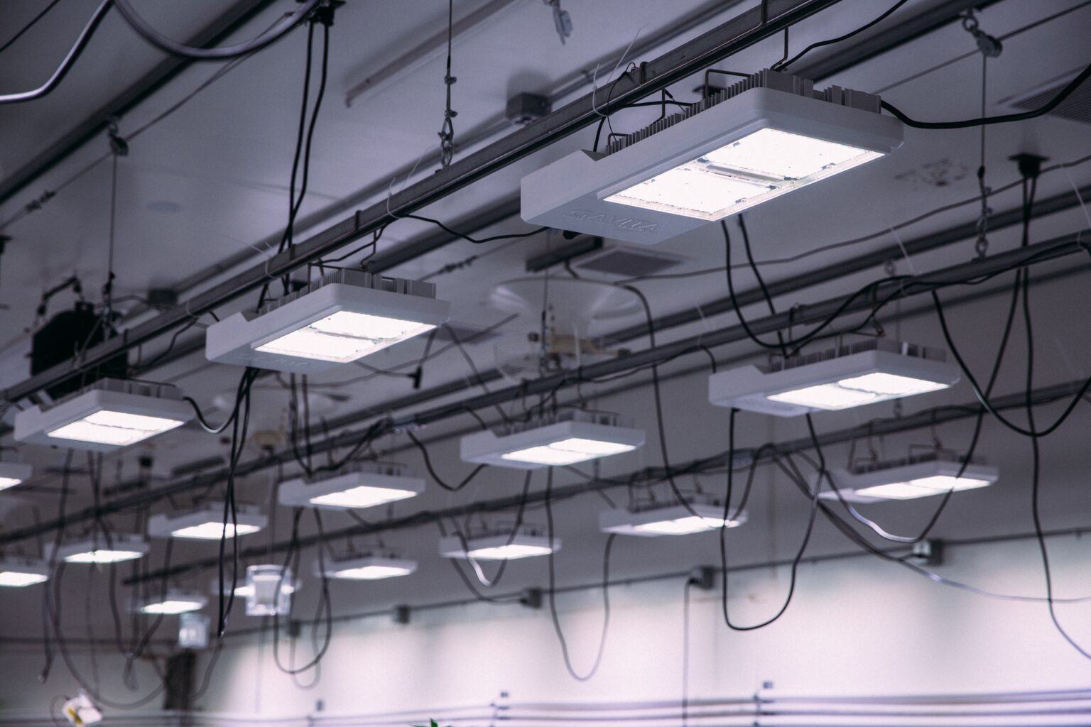 Grow Light Coverage Calculator for Cannabis: How Many Grow Lights Do ...