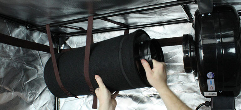Ventilation Setup Tips For Grow Tents & Grow Rooms