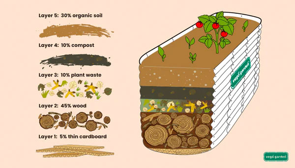 Raised Garden Beds: Everything You Need To Know - Hydrobuilder Learning ...
