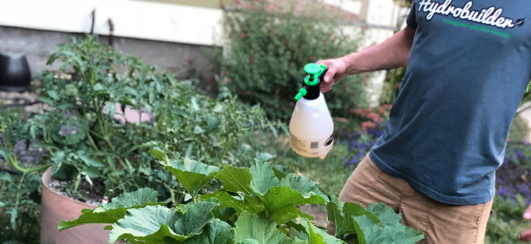 The Complete Guide To Organic Garden Pest Control - Hydrobuilder ...