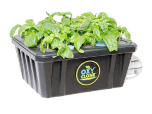 The Best Plant Cloning Machines Of 2025 - Hydrobuilder Learning Center