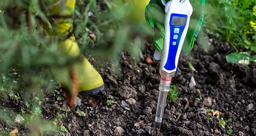 pH for Plants: The Complete Guide to Soil & Hydroponics