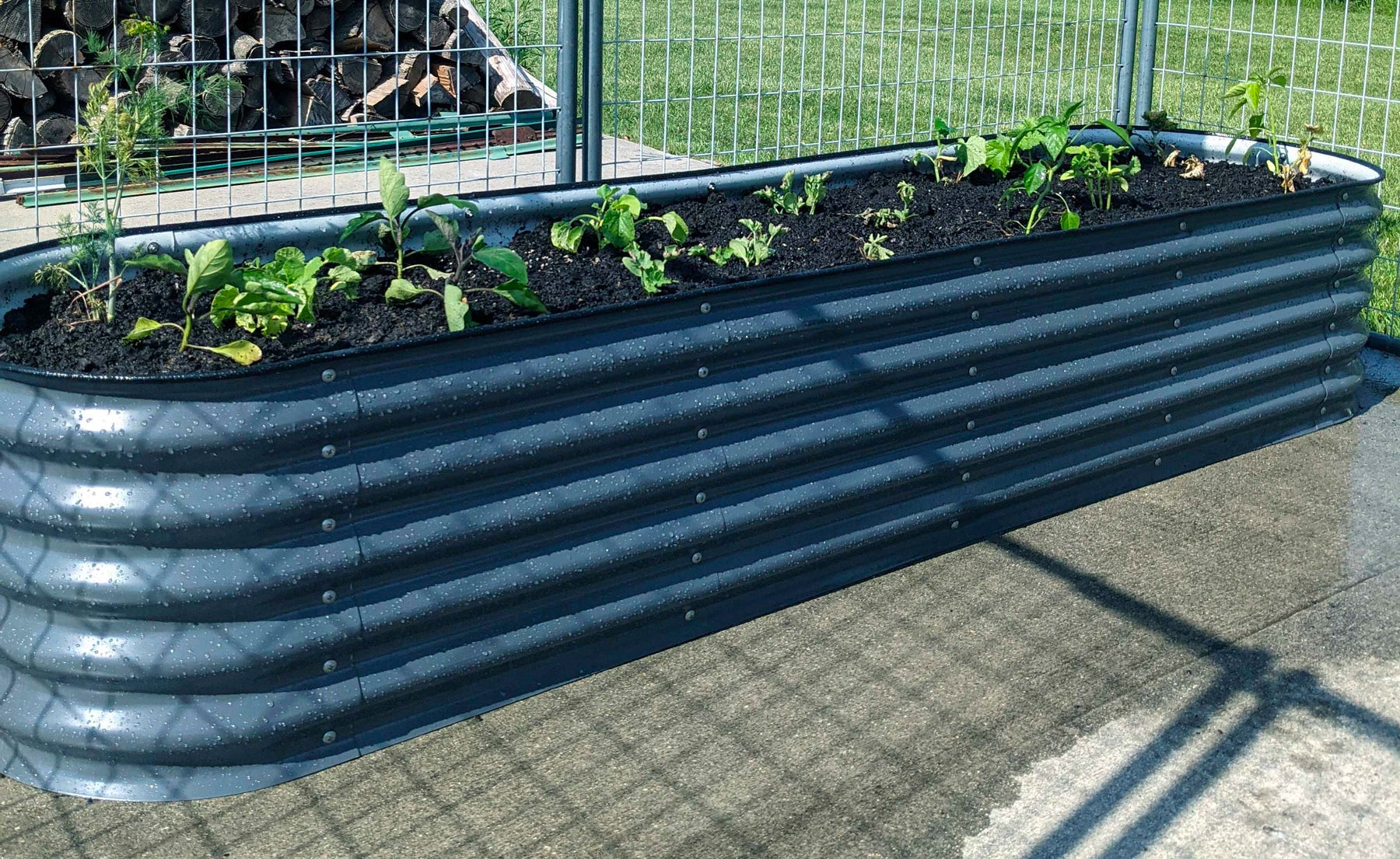 Raised Garden Beds: Everything You Need To Know - Hydrobuilder Learning ...