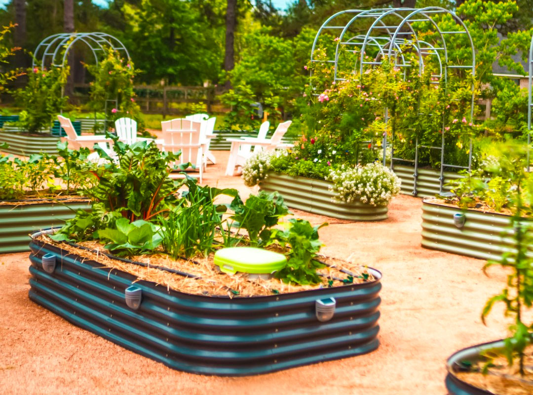 Raised Garden Beds: Everything You Need To Know - Hydrobuilder Learning ...